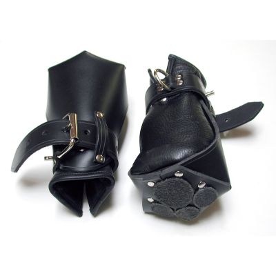 Paws & Mitts - Pup Gear | Puppy Pride Store